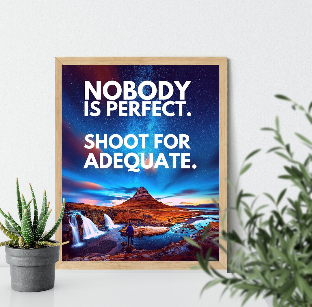 Funny Demotivational "nobody is Perfect" Poster INSTANT DOWNLOAD ...
