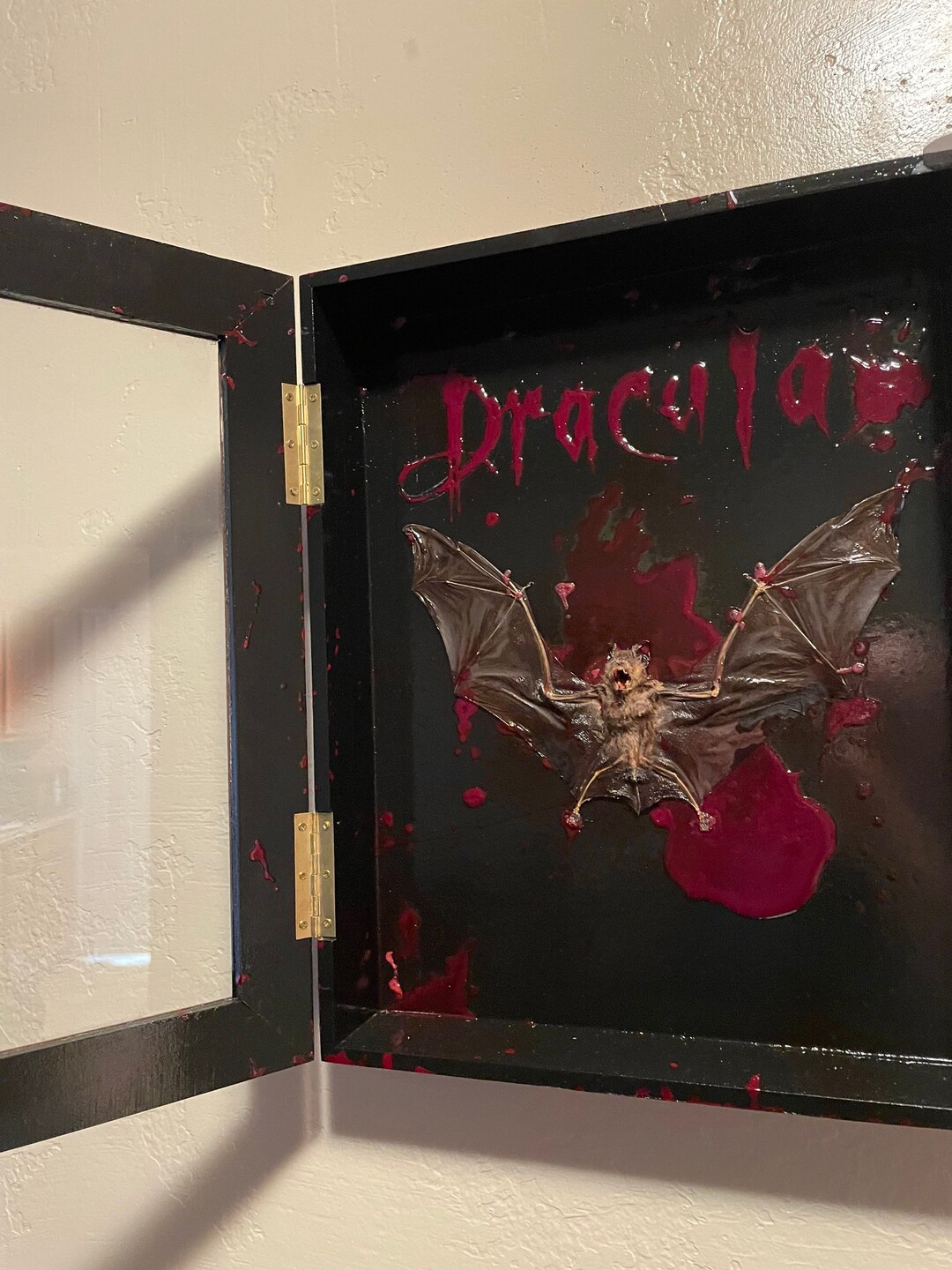 Vampire Bat in Shadow Box Display! Real Taxidermy Bat - Etsy