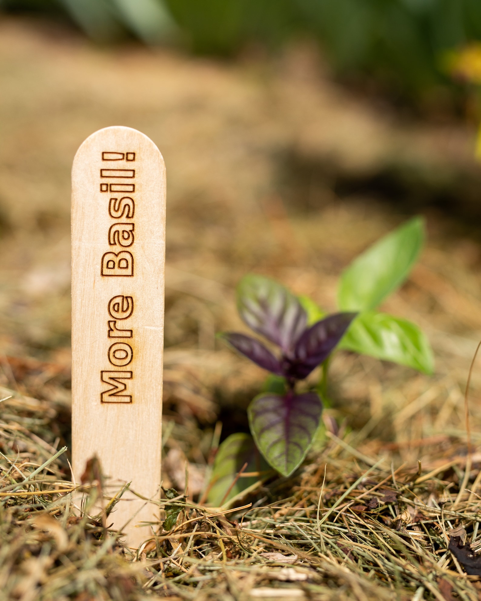 8in X 1in Wooden Plant Marker Sets - Etsy