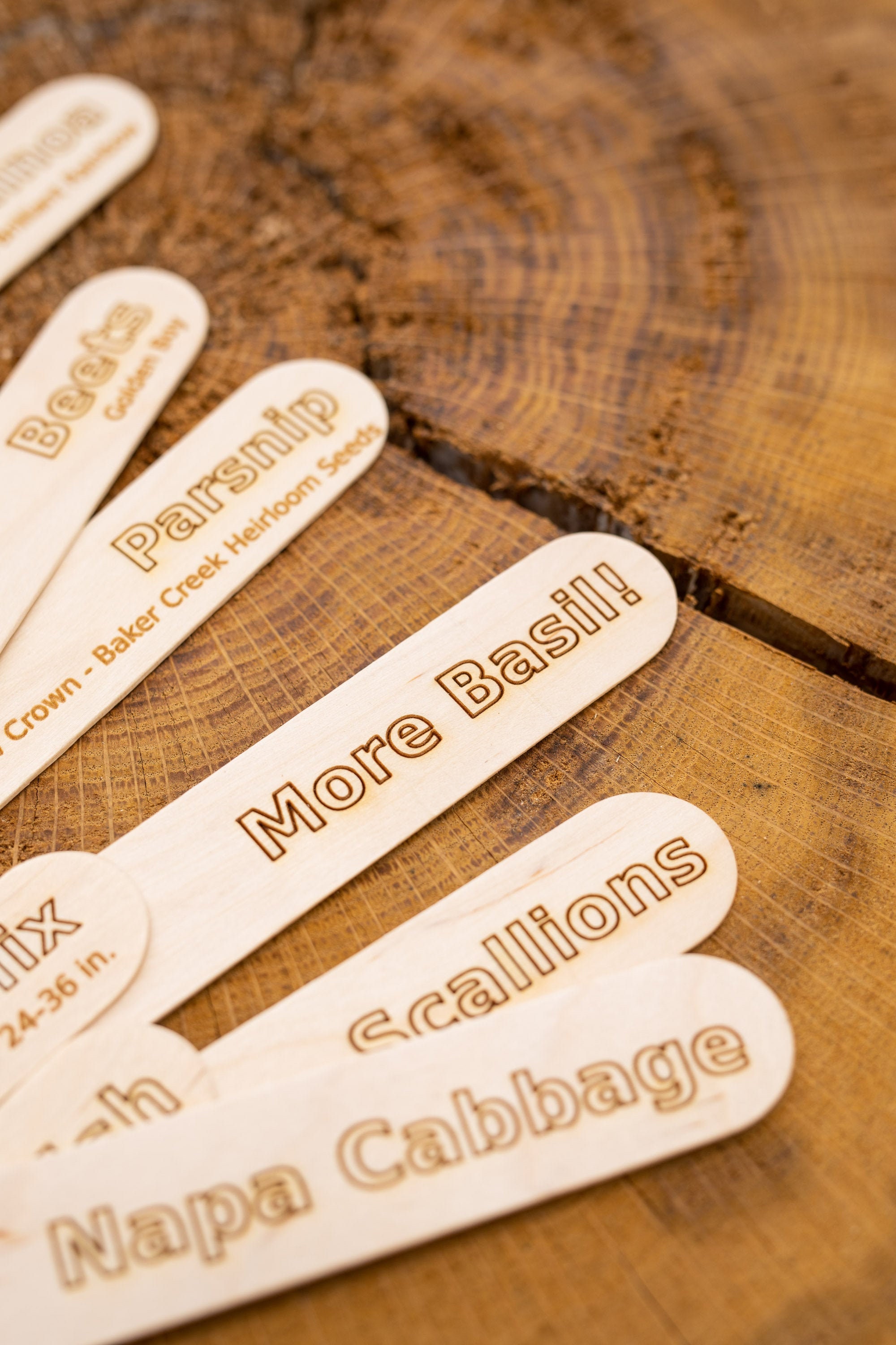 8in X 1in Wooden Plant Marker Sets - Etsy