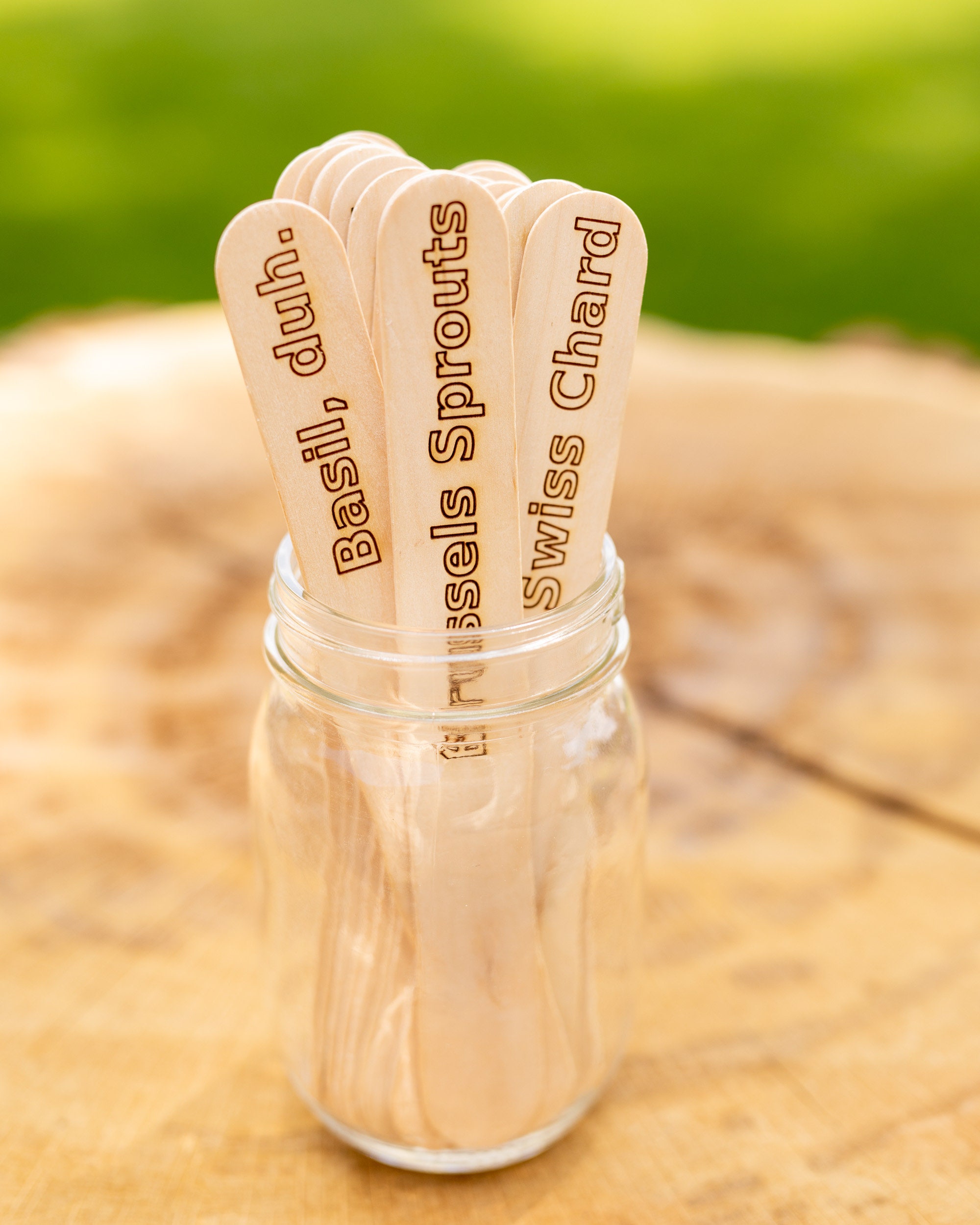 8in X 1in Wooden Plant Marker Sets - Etsy