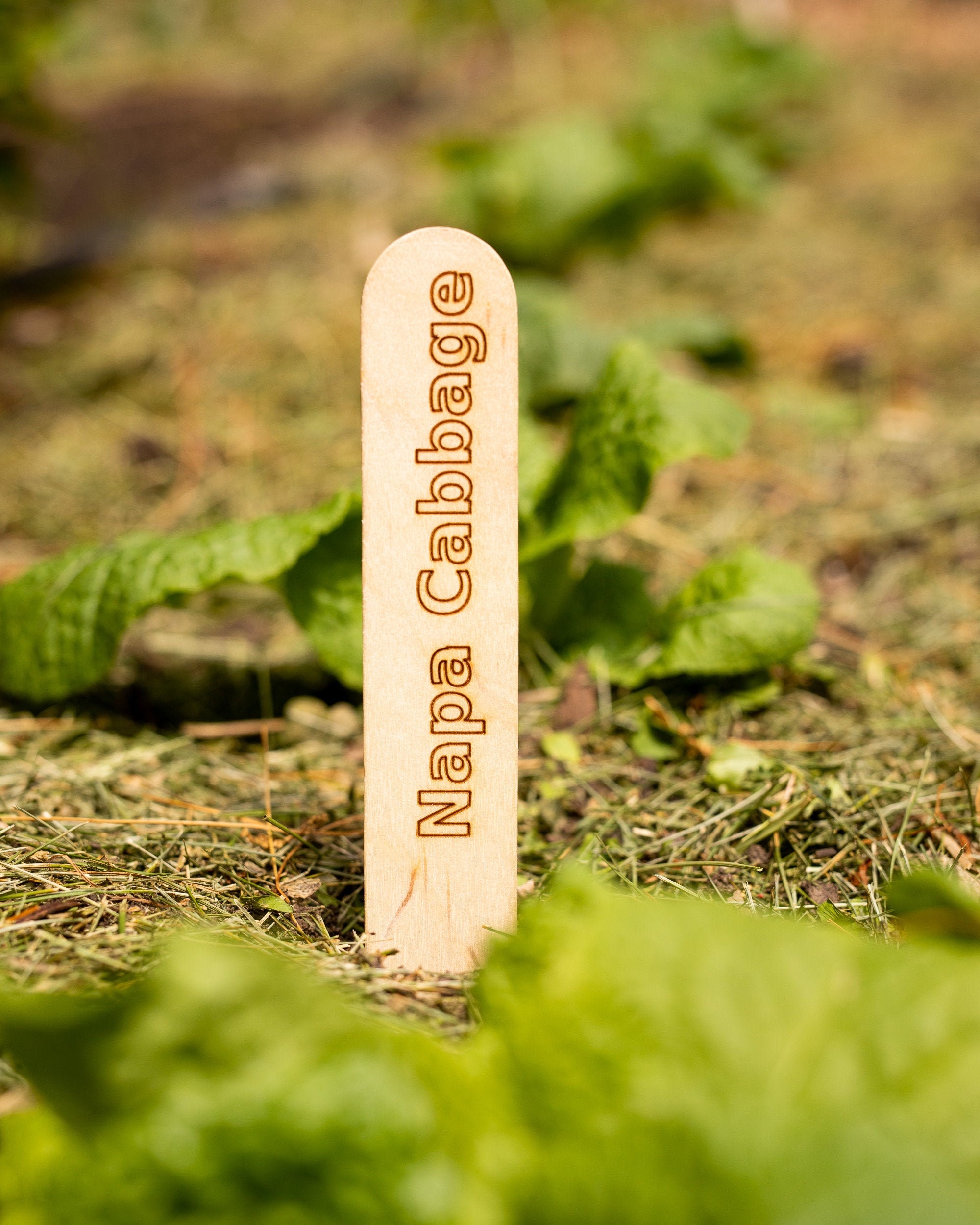 8in X 1in Wooden Plant Marker Sets - Etsy