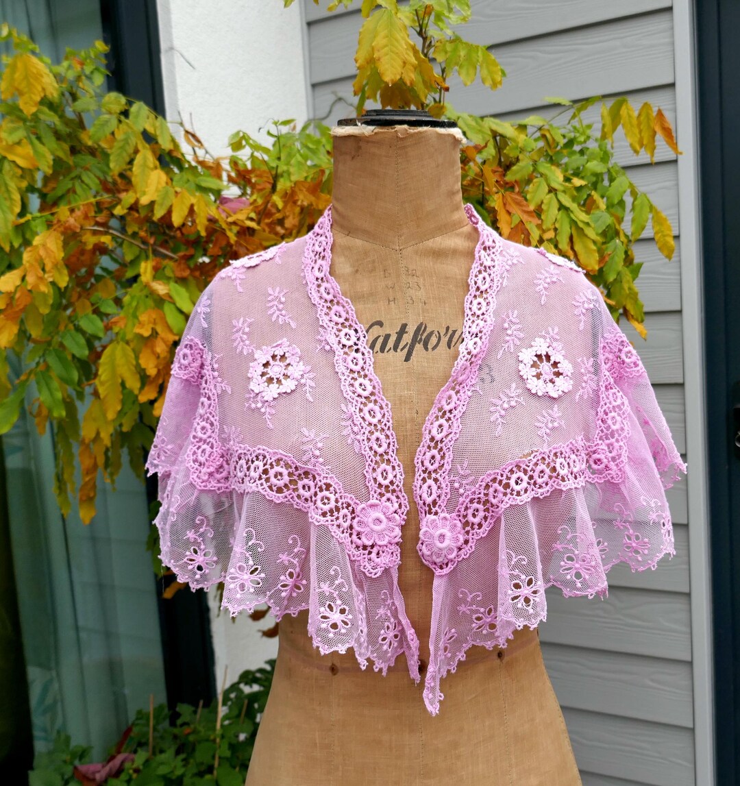 An Antique Embroidered Pink Lace Collar With Deep Lace Frill - Etsy