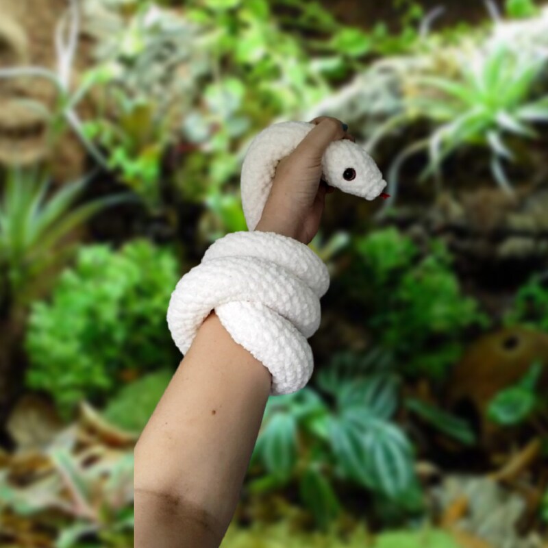 Albino Snake - Etsy