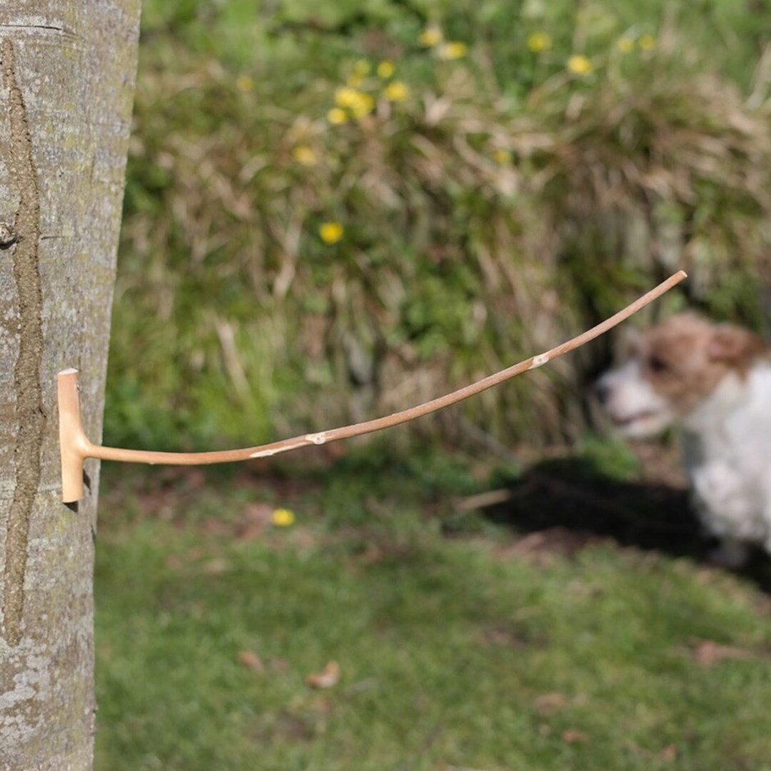 The Weatherstick. Canadian Weather Stick 100% Natural Weather ...