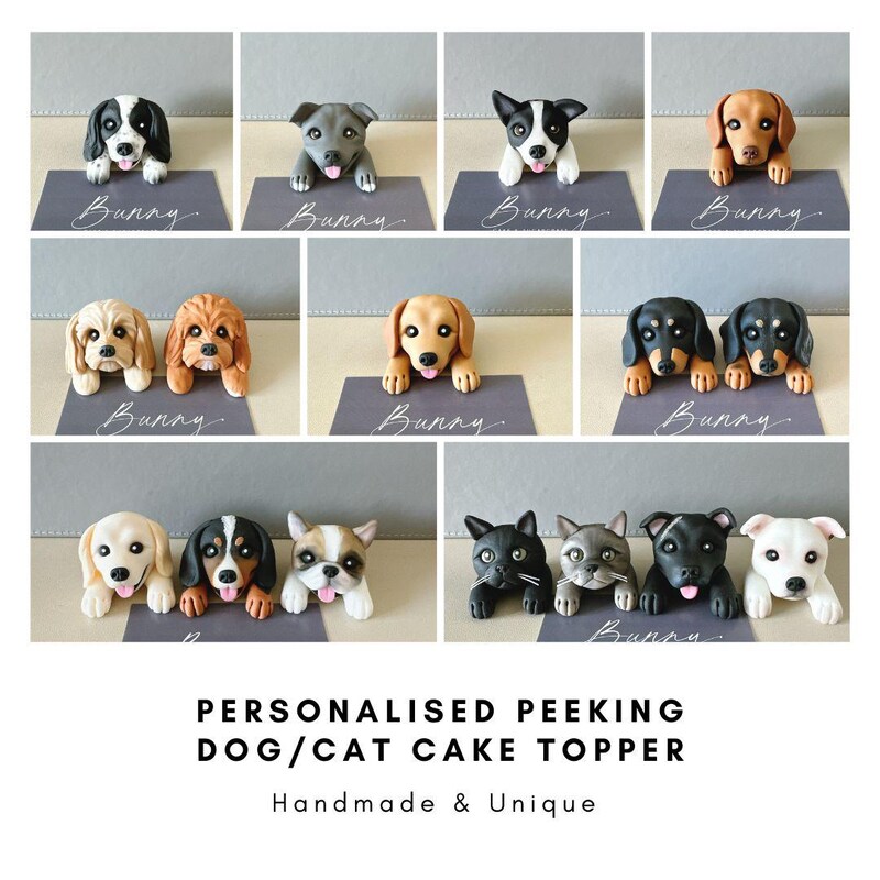 Pet Cake Topper - Etsy