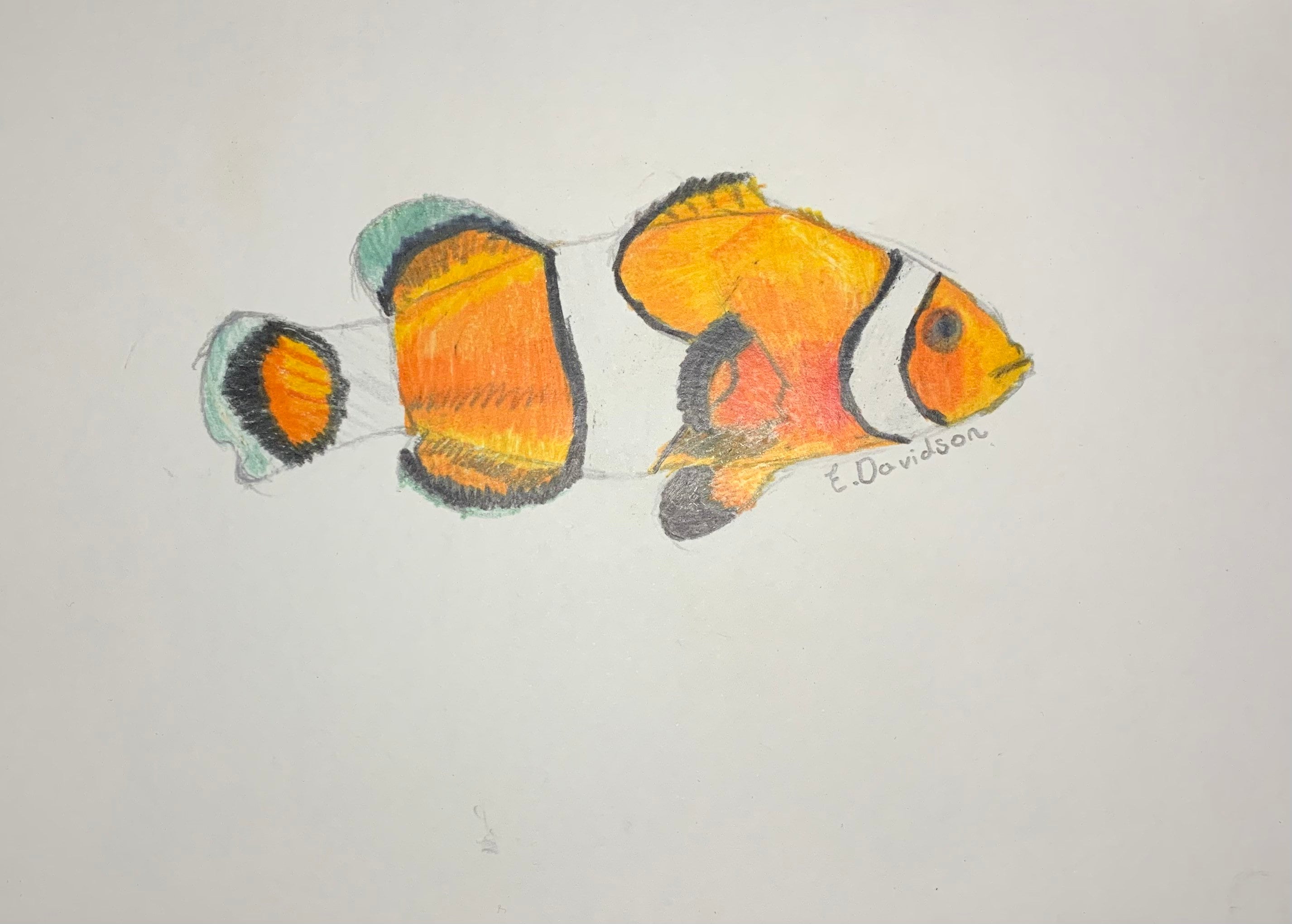 Goofy Clownfish Drawing - Etsy