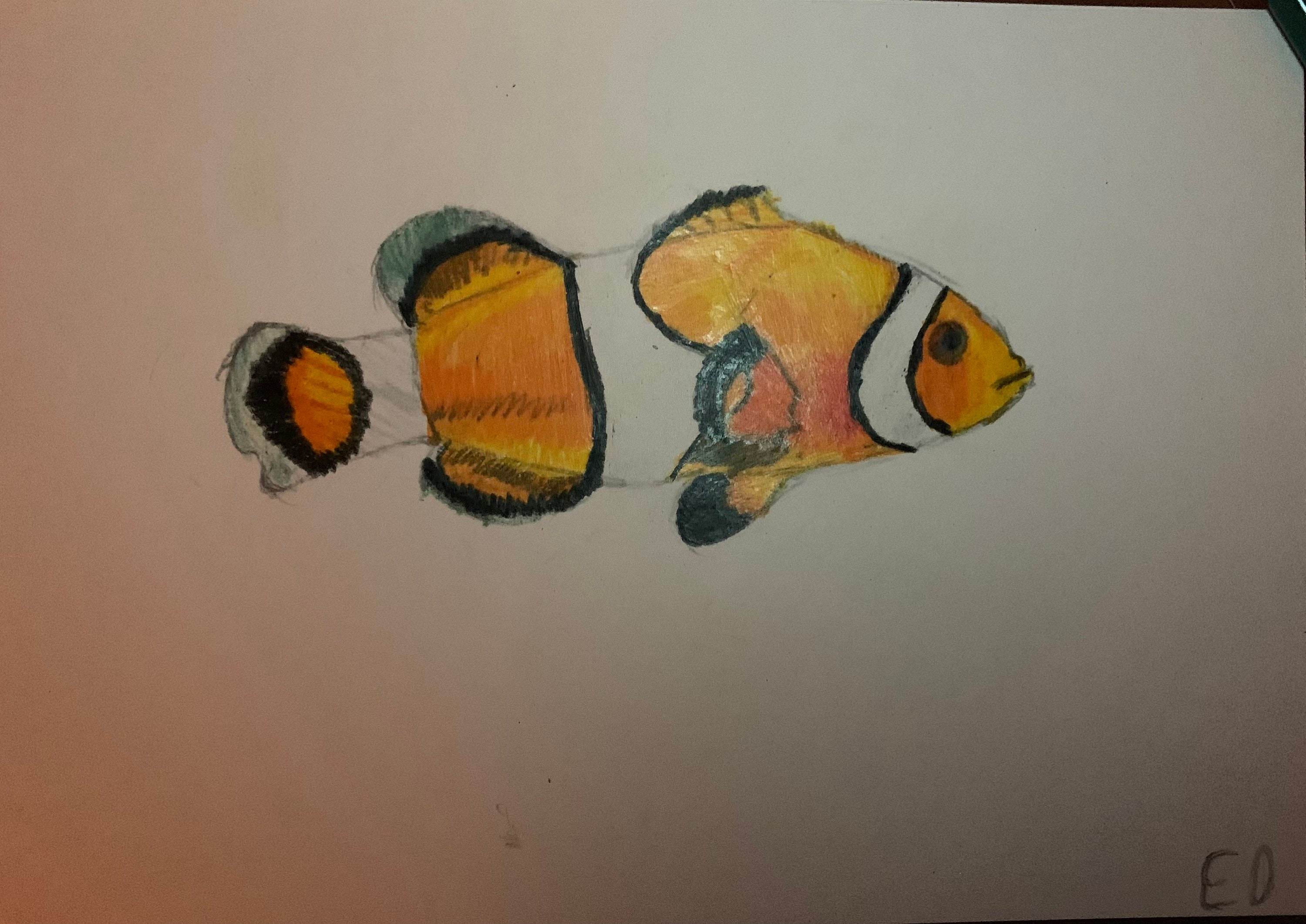Goofy Clownfish Drawing | Etsy