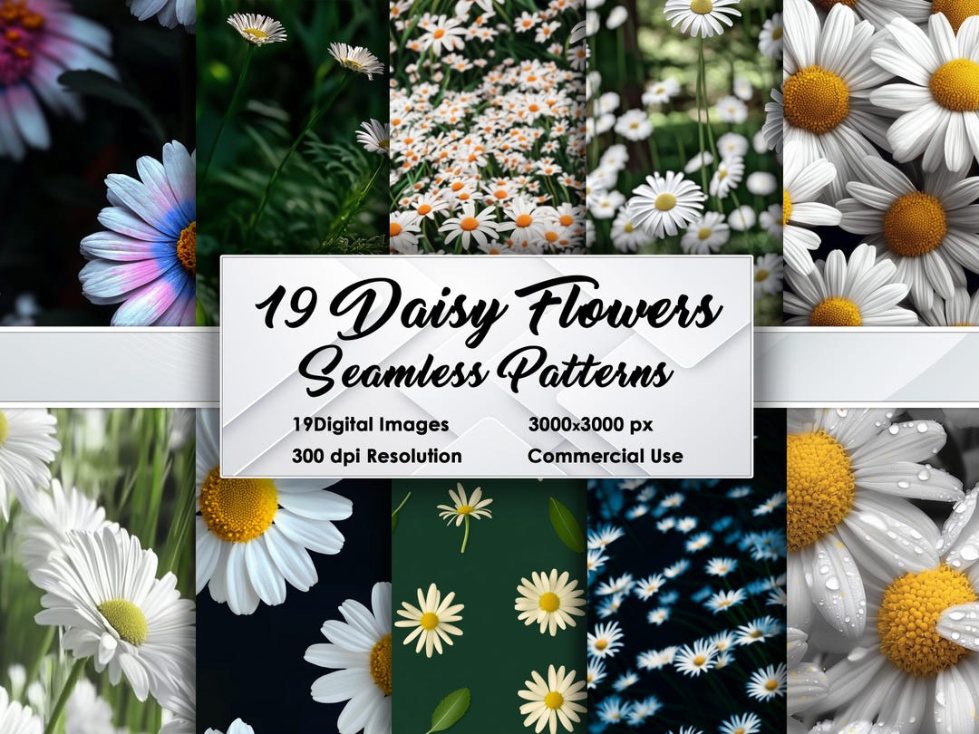 19 Daisy Flowers – Seamless Patterns 3000x3000 Px, 300 DPI, Warm Spring ...