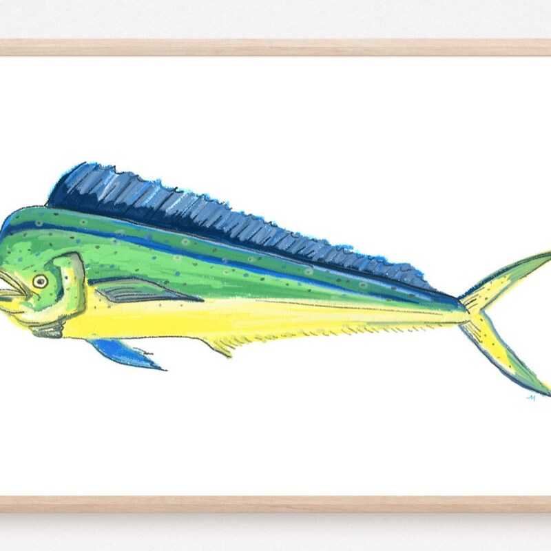 Mahi Mahi Drawing - Etsy