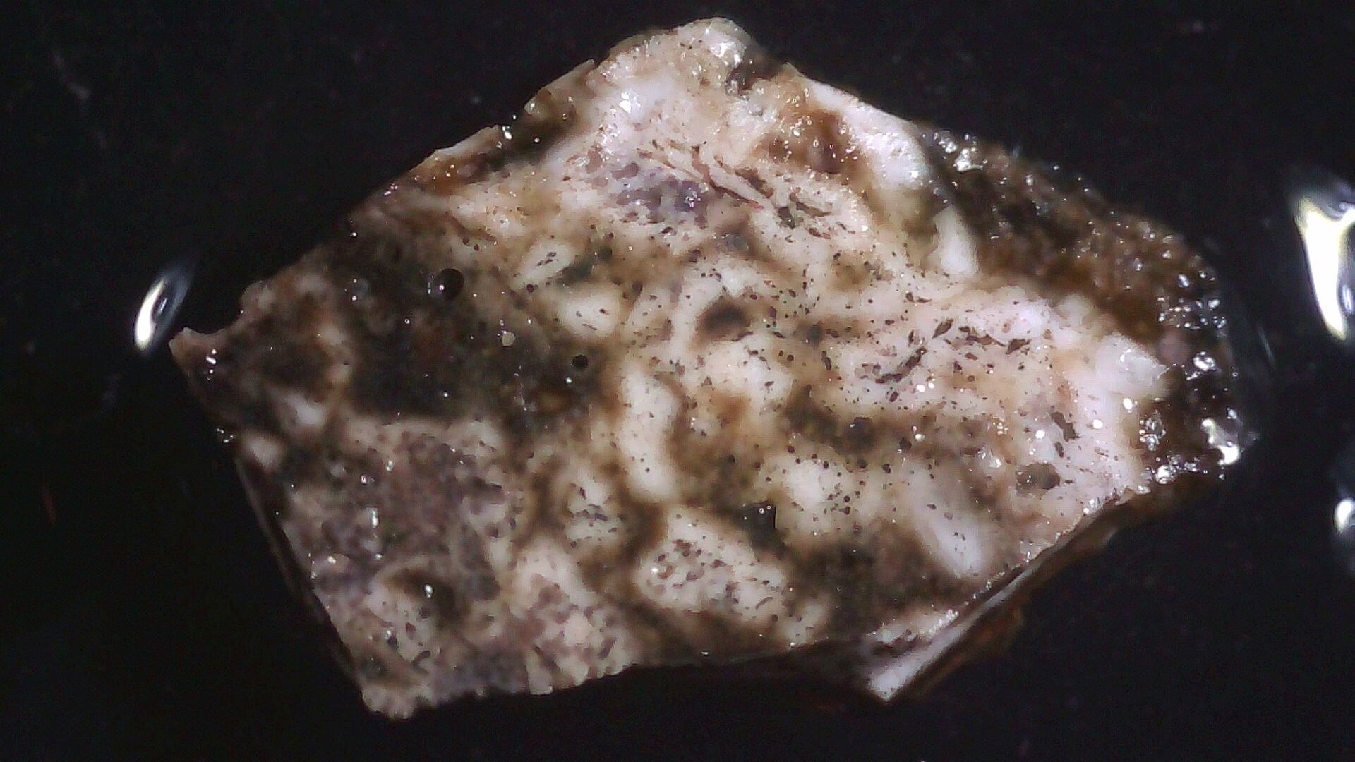 Magnificent Tiny Fragment of Lunar Meteorite Impact Breccia Regolith ...