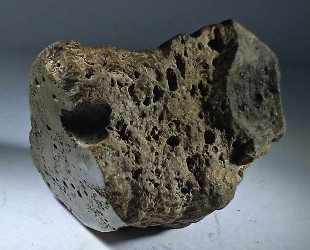 Olivine-rich Vesicular Ilmenite Lunar Basalt Lunar Achondrite Meteorite ...