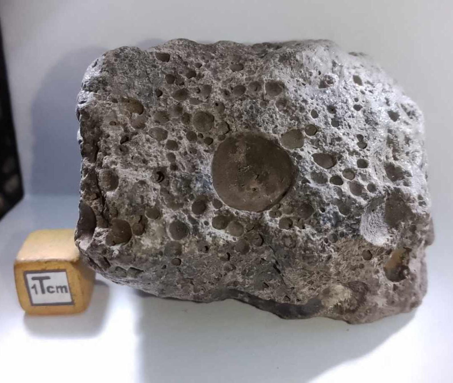 Large Achondrite Meteorite, Lunar Basalt, Crystalline Vesicular, Rich ...