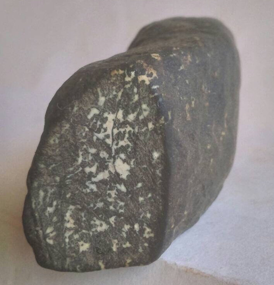 Meteorite Lunar Mare Basalt 31.14 G Paired With NWA 479 NWA | Etsy