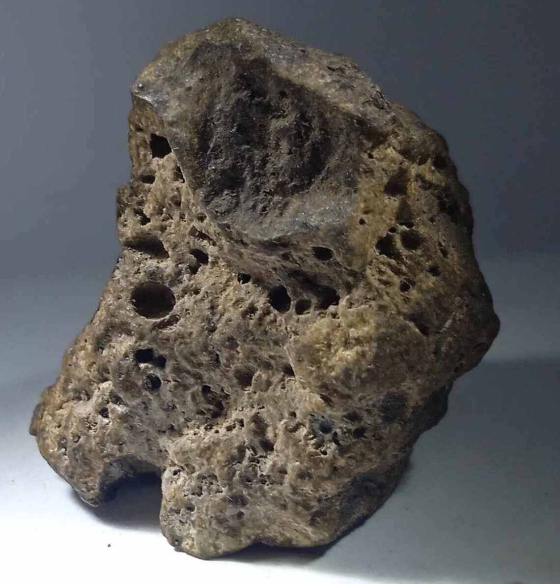 Olivine-rich Vesicular Ilmenite Lunar Basalt Lunar Achondrite Meteorite ...