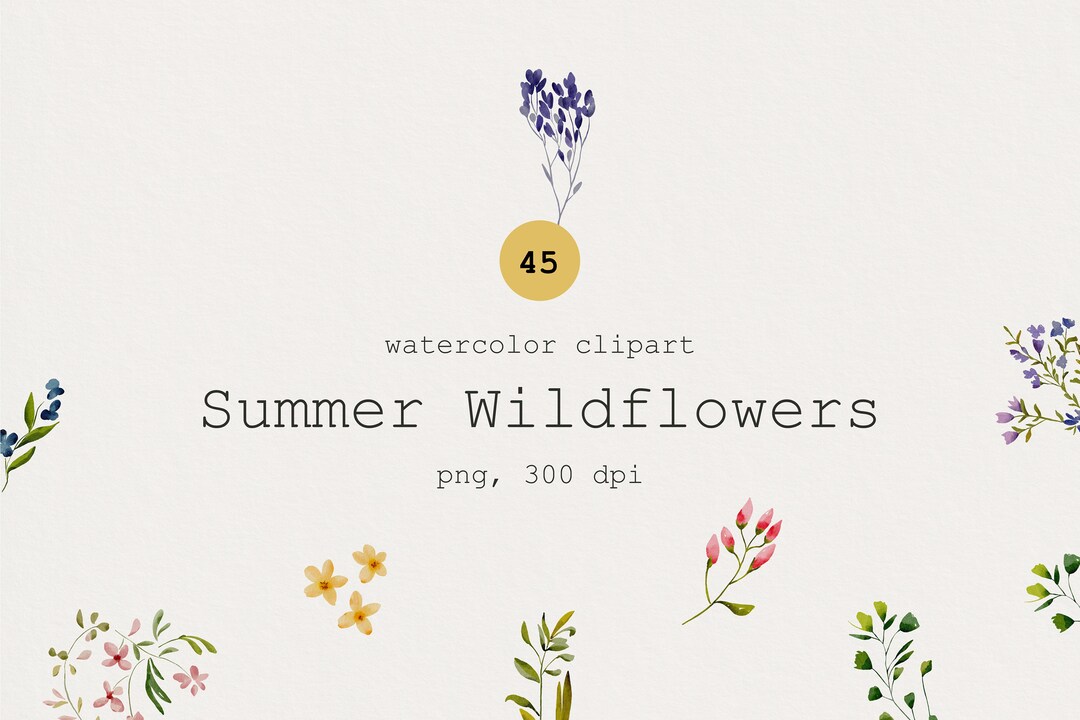 Watercolor Summer Floral Clipart - Wildflowers Clipart PNG - Meadow ...