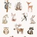 Watercolor Woodland Animals Clipart, Forest Friends Clip Art, Cute Fall ...