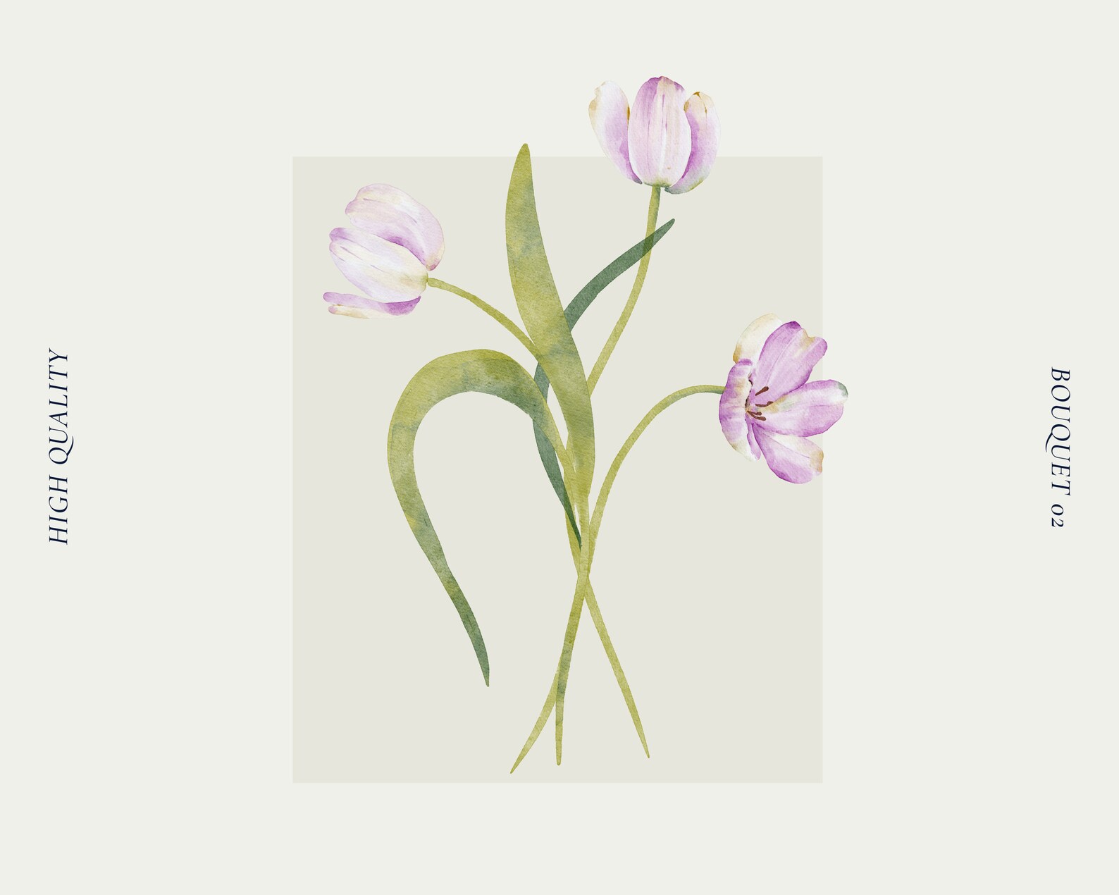 Watercolor Tulip Spring Clipart, Elegant Purple Flowers Png, Mothers ...