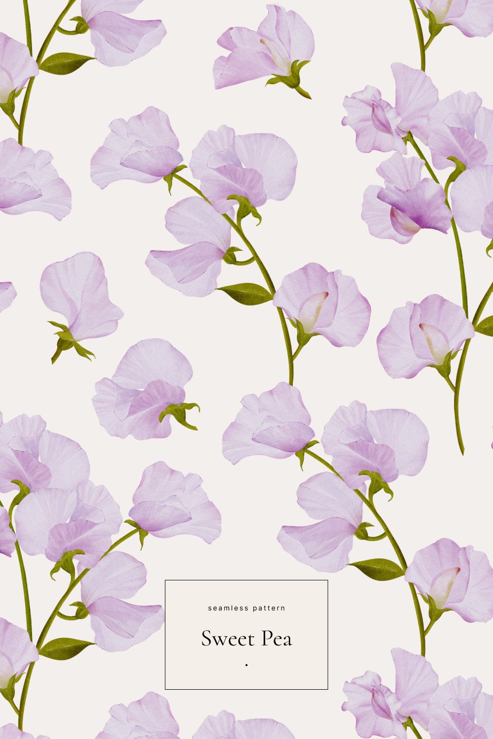 Sweet Pea Floral Collection - Watercolor Floral Clipart - Sweet Pea ...
