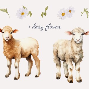 Watercolor Lamb Clipart, Sheep Spring Clipart Png, Clipart Bundle, Baby ...
