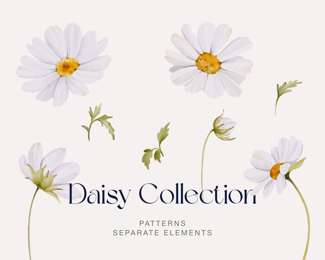 Daisy Clipart Png, Spring Clipart, Daisy Flower Clipart, Wildflower ...