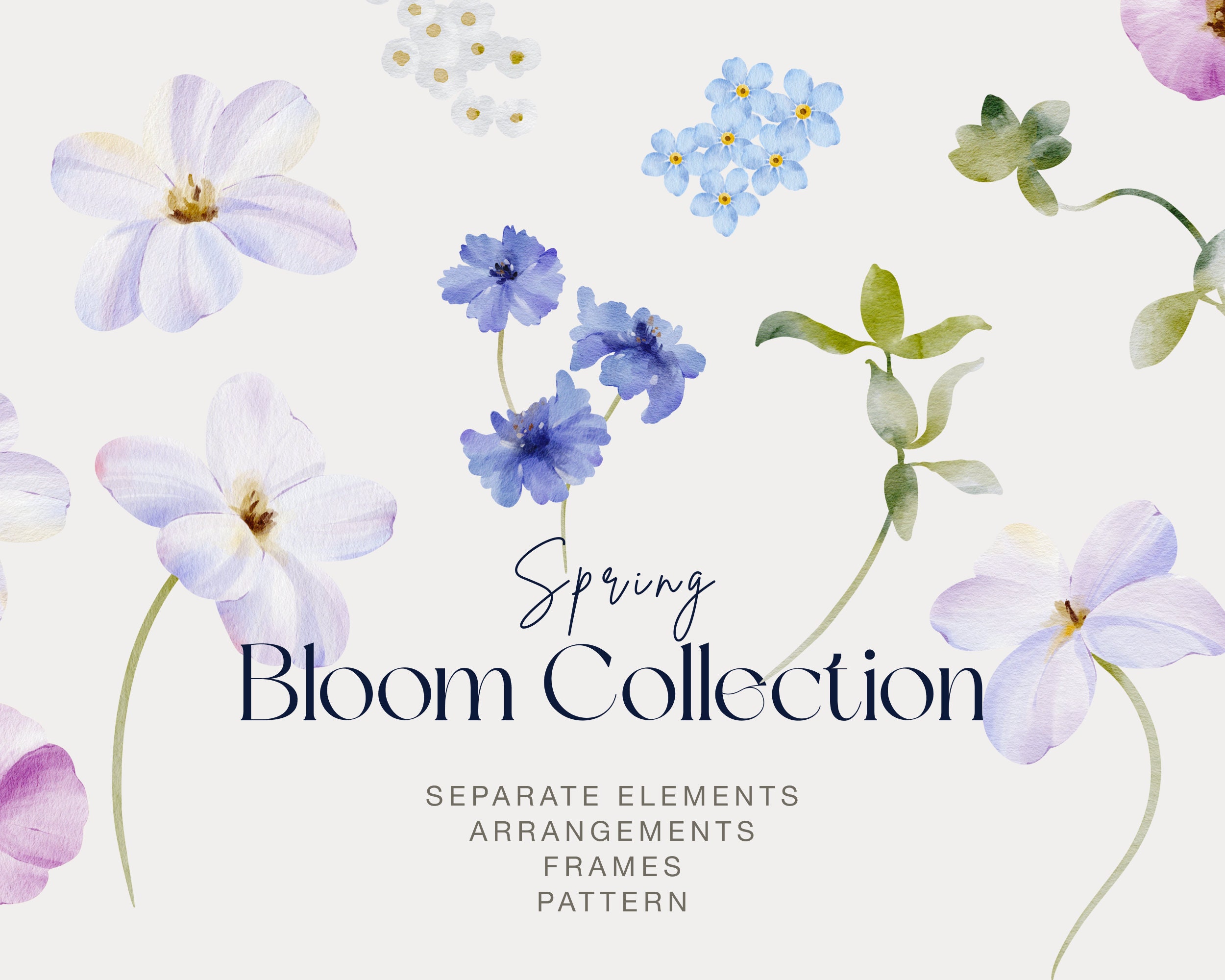 Watercolor Spring Flowers Clipart, Purple Flowers Clipart Bundle ...