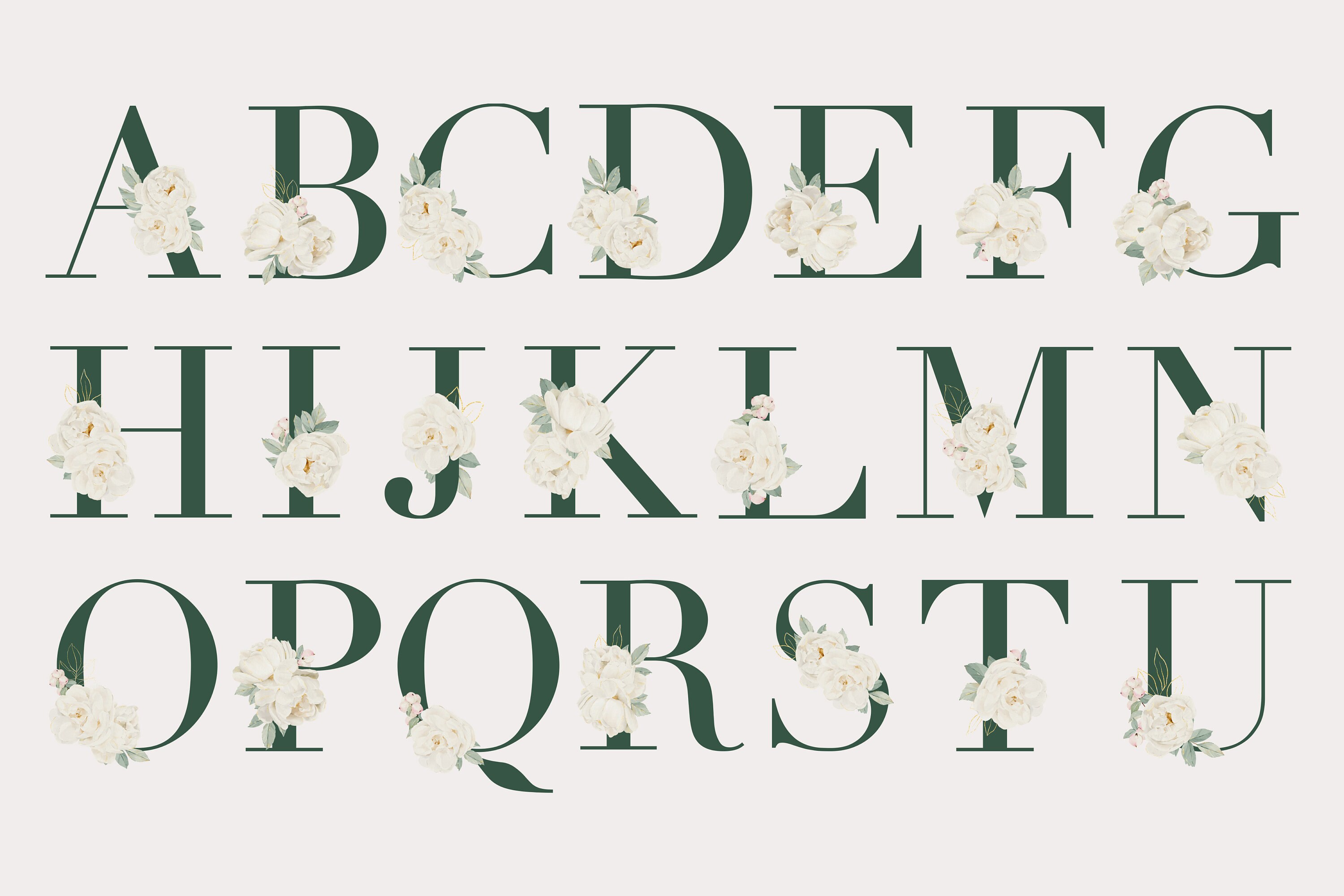 Watercolor Floral Alphabet Number Floral Clipart Botanical Alphabet ...