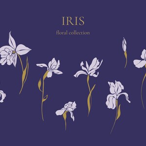 Iris Collection SVG - Floral Line Art - Minimalist Line Art - Etsy UK
