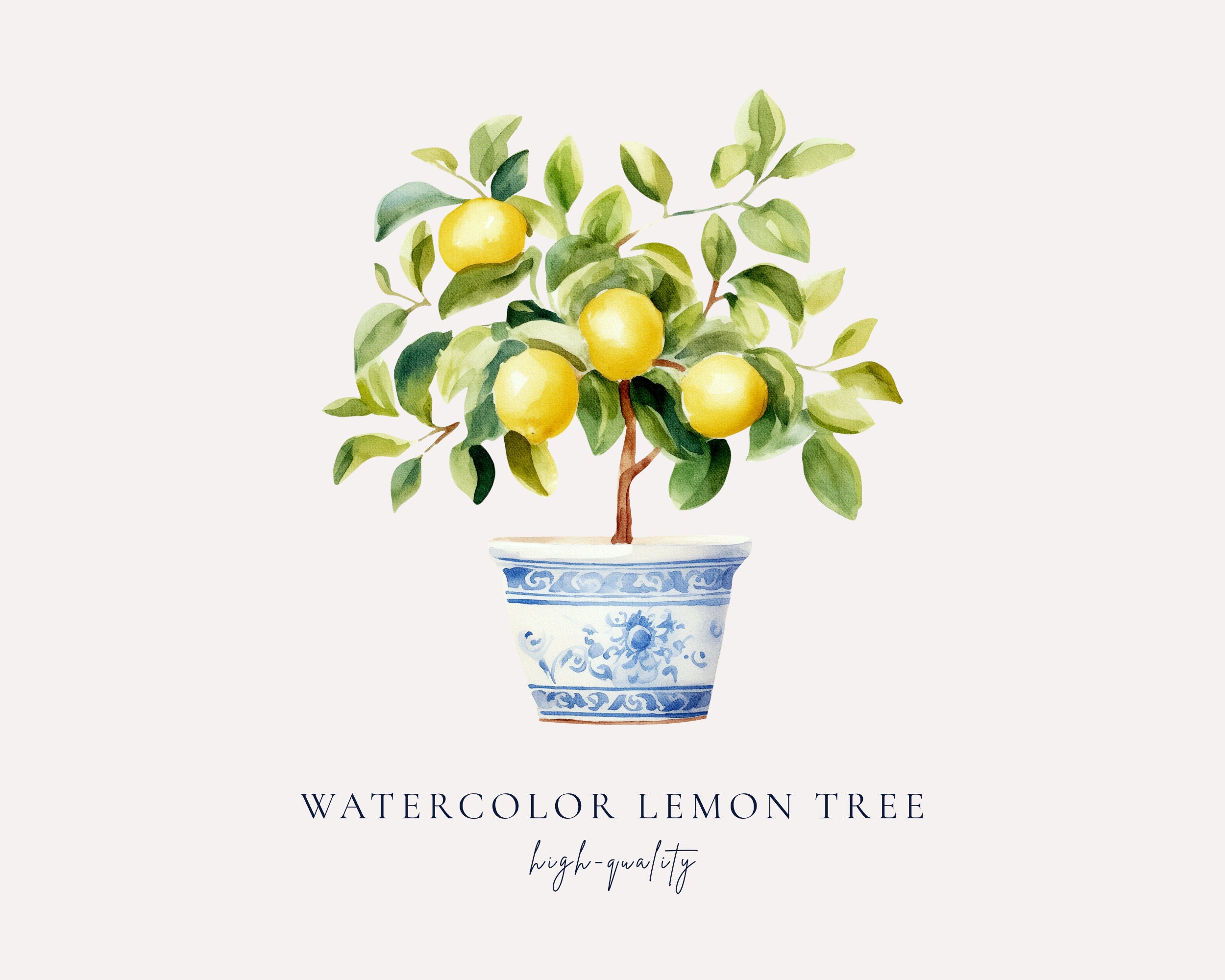 Watercolor Lemon Tree Png Clipart, Mediterranean Citrus Plant Watercolor Clipart, Botanical ...