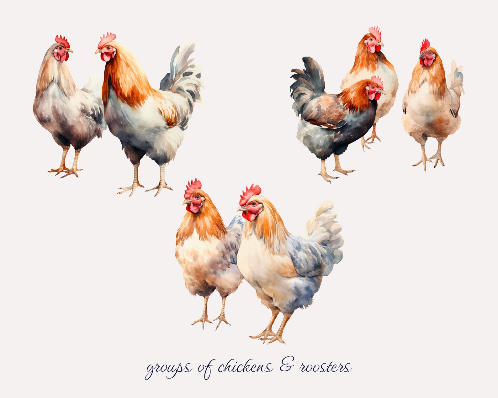 Watercolor Rooster Clipart Png, Chicken Clipart, Chicken Png, Farm ...