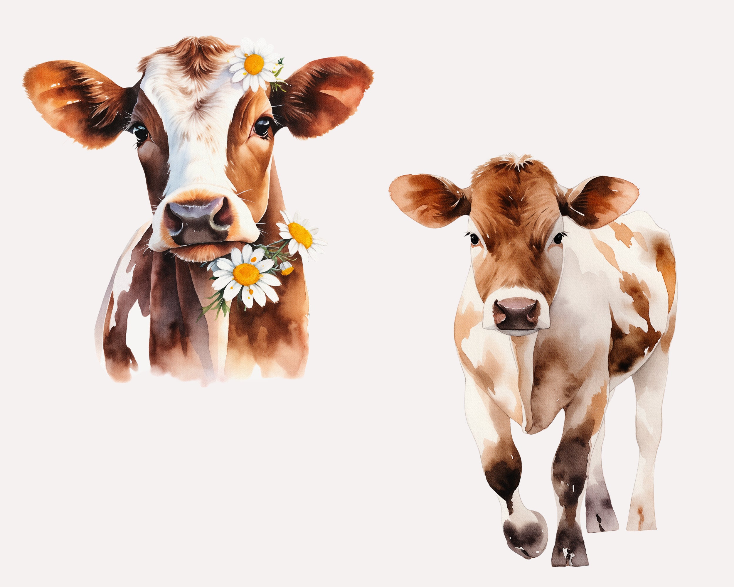 Watercolor Cow Clipart Png, Cow Face, Farm Clipart, Floral Cow ...