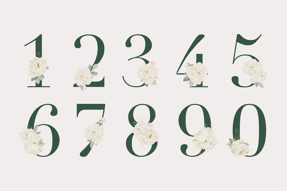 Watercolor Floral Alphabet Number Floral Clipart Botanical Alphabet ...