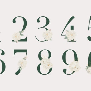 Watercolor Floral Alphabet Number Floral Clipart - Botanical Alphabet ...