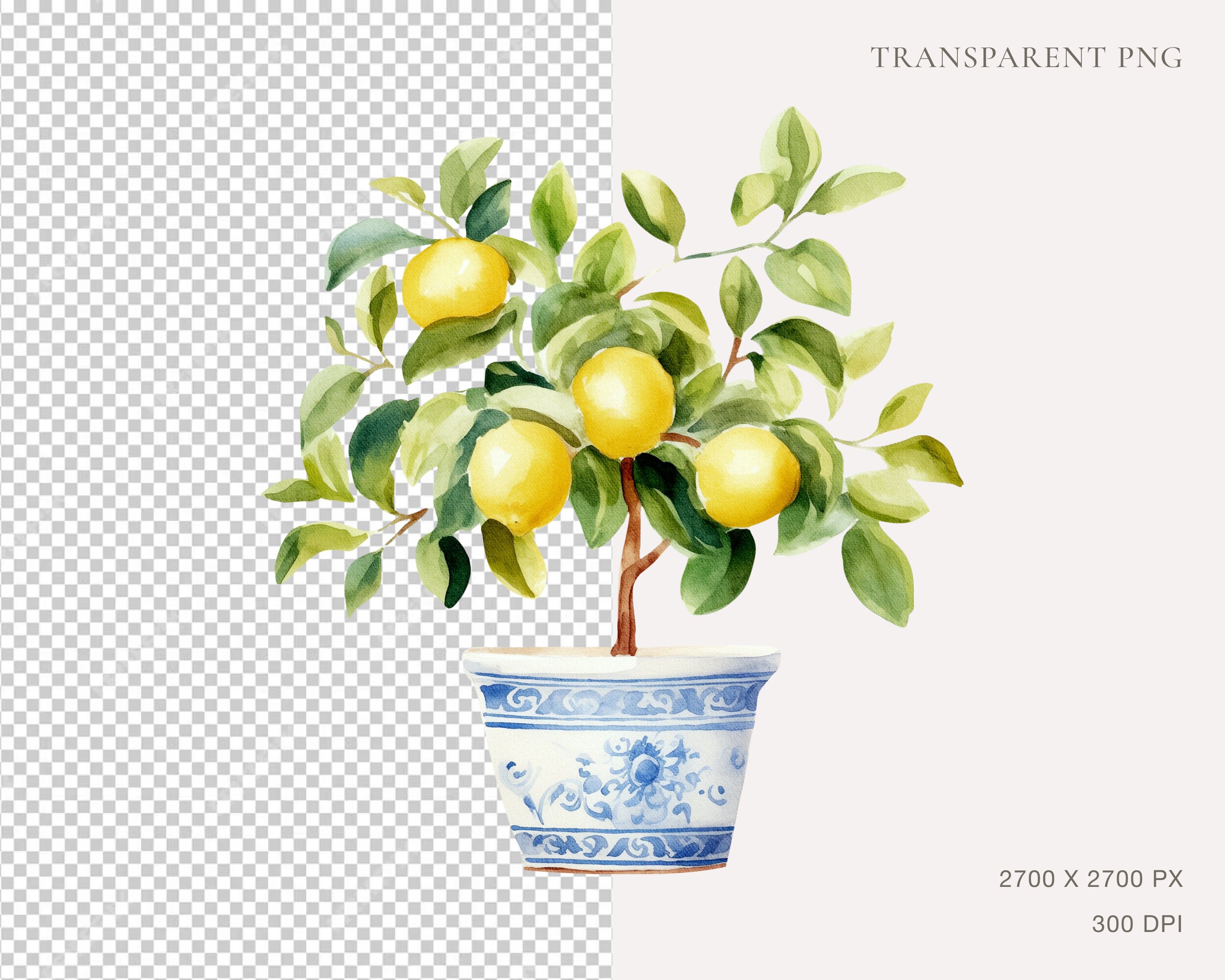 Watercolor Lemon Tree Png Clipart, Mediterranean Citrus Plant ...