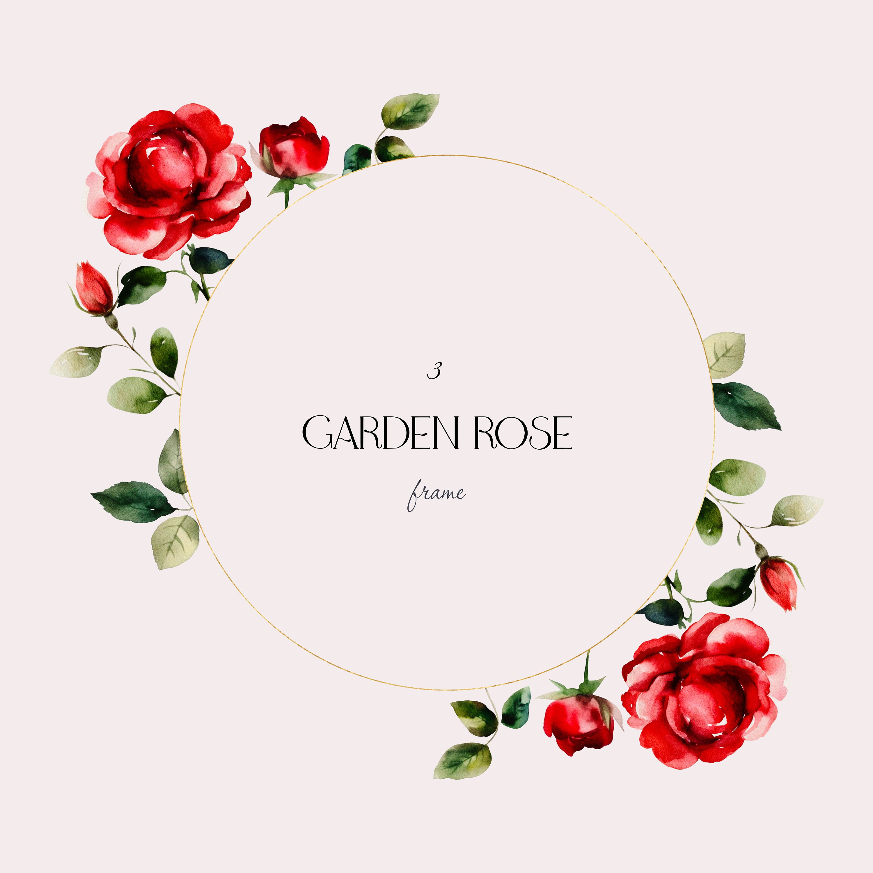 Rose Round Frame Clipart, Rose Border Png, Watercolor Border, Elegant ...