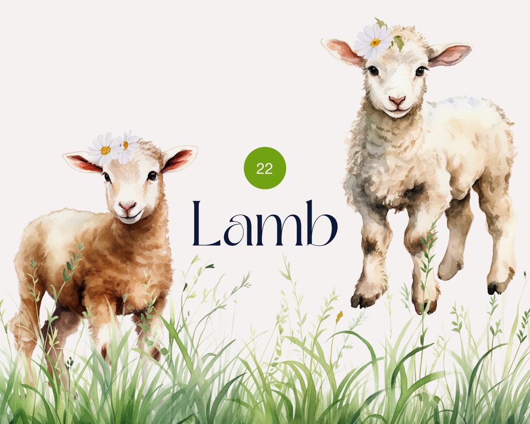Watercolor Lamb Clipart, Sheep Spring Clipart Png, Clipart Bundle, Baby ...