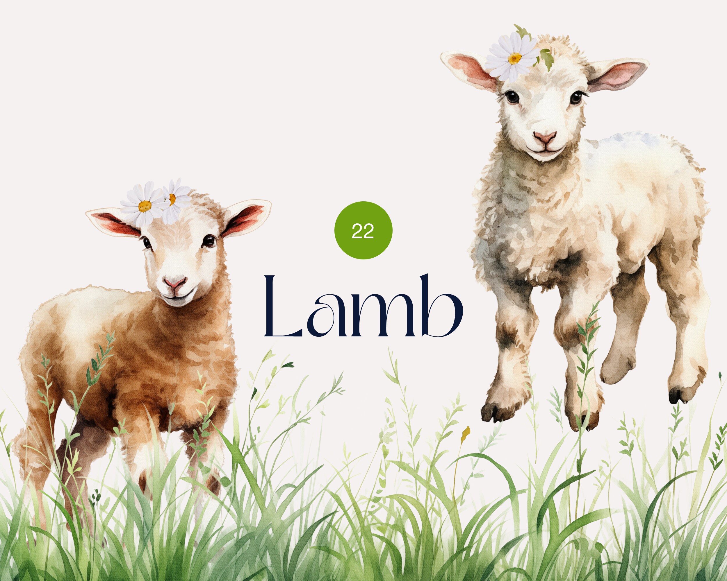 Watercolor Lamb Clipart, Sheep Spring Clipart Png, Clipart Bundle, Baby ...
