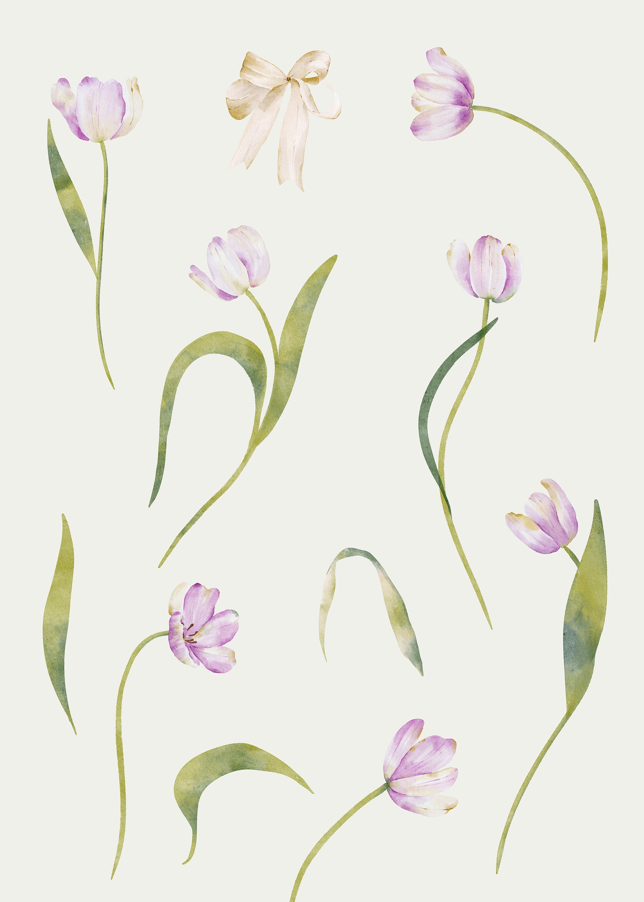 Watercolor Tulip Spring Clipart, Elegant Purple Flowers Png, Mothers ...
