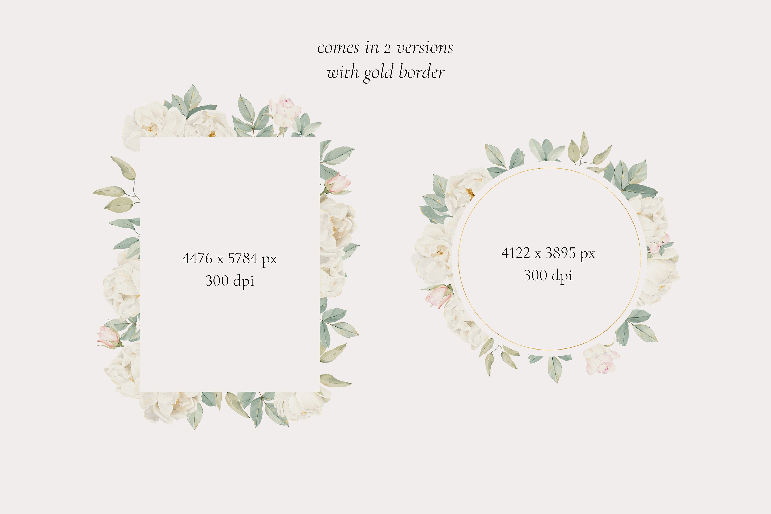 White Gold Floral Frame Clipart Set, White Rose Wreath PNG, Watercolor ...