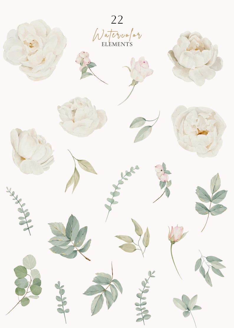 White Rose Watercolor Clipart, Elegant Bridal Floral PNG Bundle ...