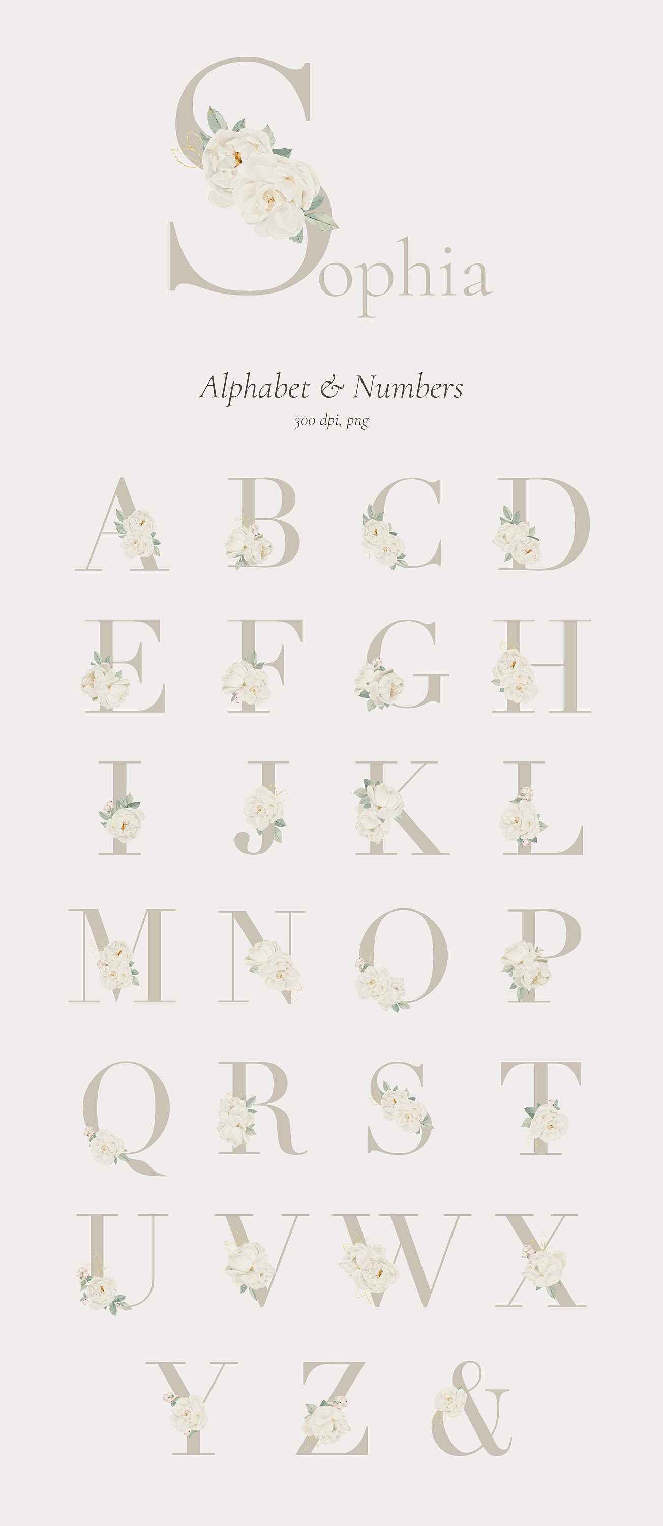 Watercolor Floral Alphabet Number Floral Clipart Botanical Alphabet ...