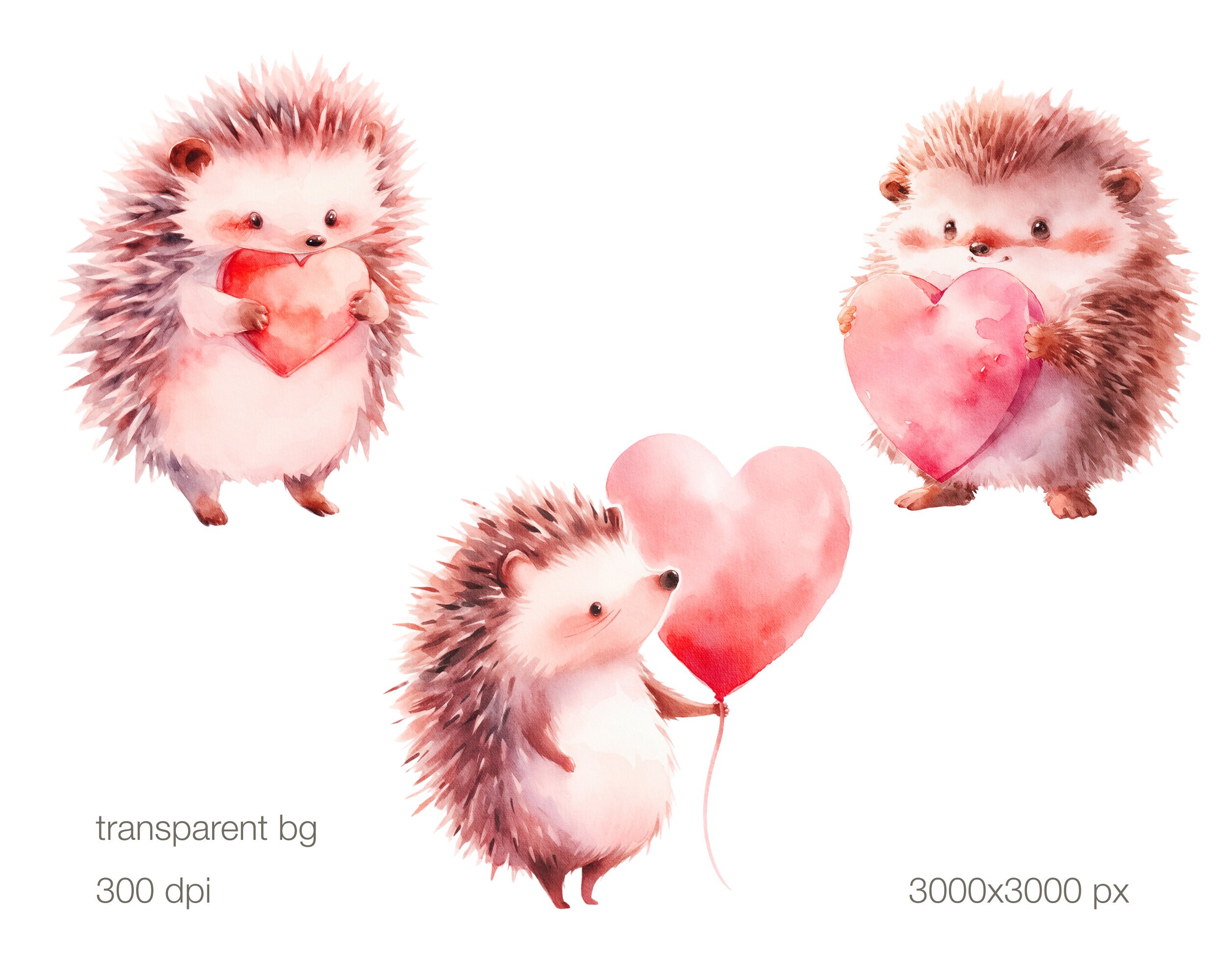 Hedgehog With Heart Clipart, Hedgehog Valentine Clipart, Happy ...
