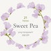 Sweet Pea Frame Set - Floral Frame PNG - Floral Wreath - Etsy