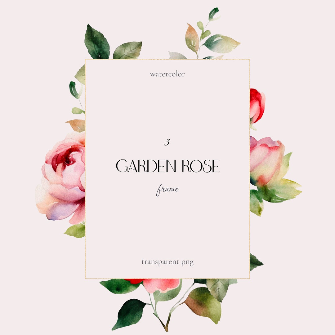 Rose Frame Clipart, Rose Border Png, Watercolor Border, Floral Border ...