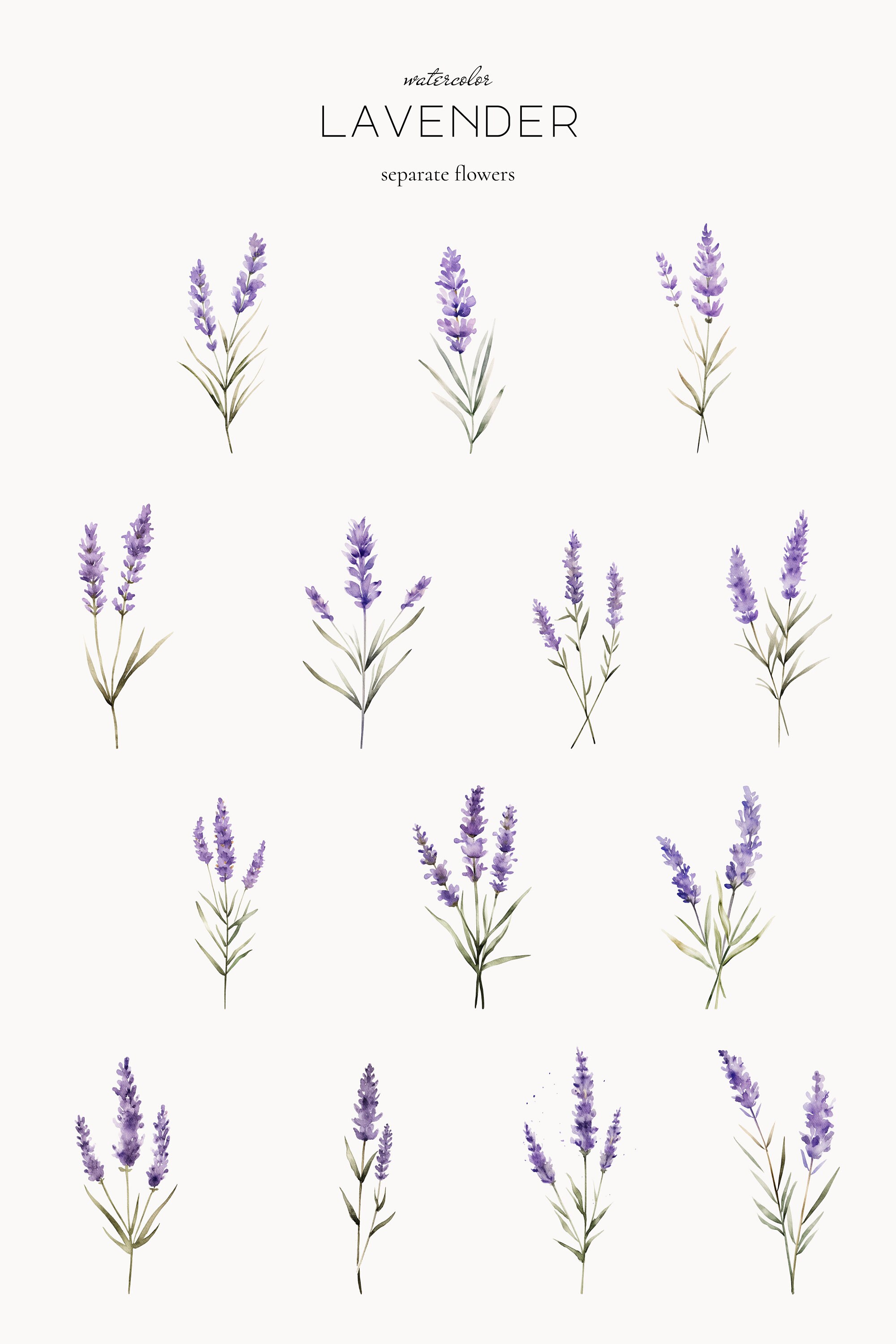 Watercolor Lavender Floral Clipart, Lavender Bouquet, Lavender Wedding ... Watercolor Lavender Floral Clipart, Lavender Bouquet, Lavender Wedding ...