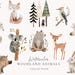 Watercolor Woodland Animals Clipart, Forest Friends Clip Art, Cute Fall ...