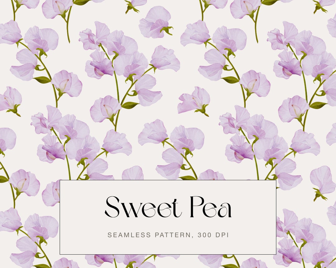 Sweet Pea Spring Background, Spring Seamless Pattern, Botanical Wall ...