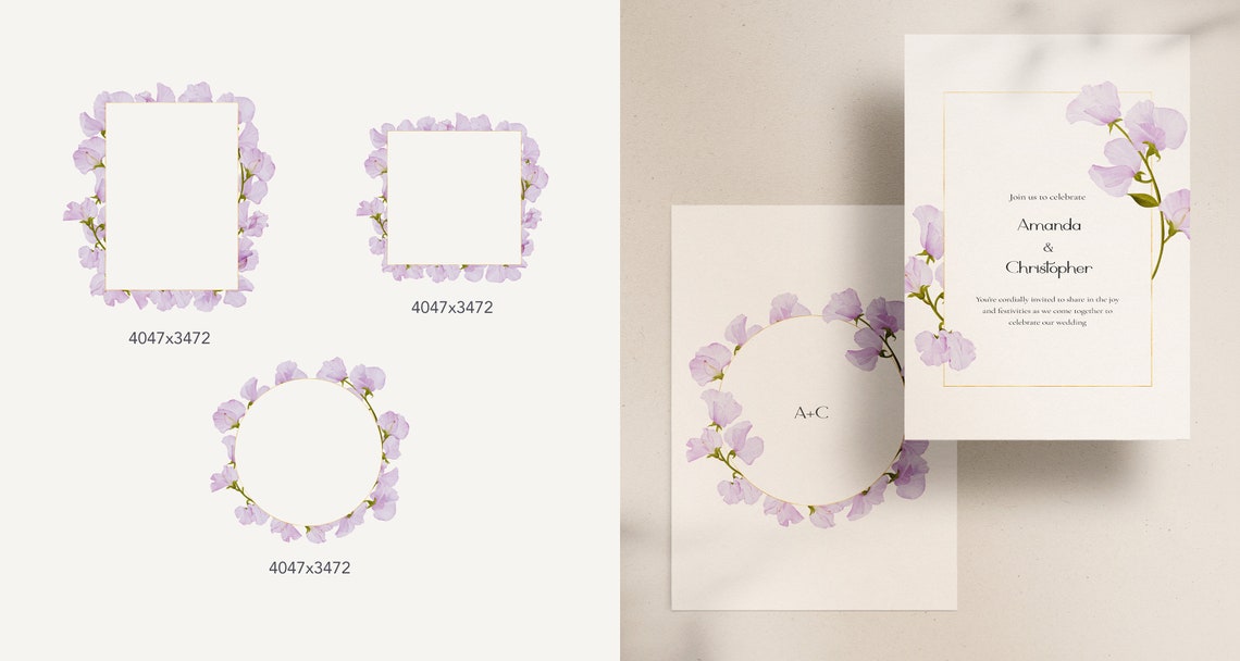 Sweet Pea Frame Set Floral Frame PNG Floral Wreath - Etsy