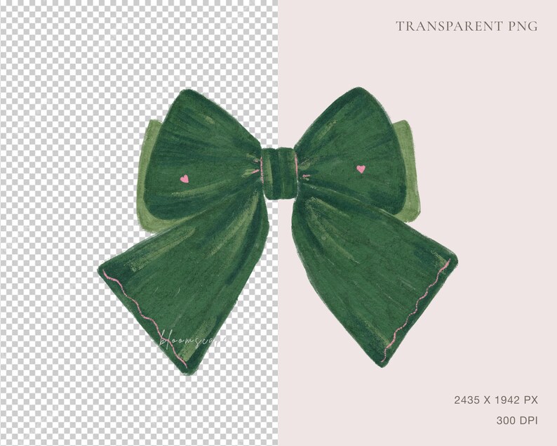 Green Velvet Bow Clipart Set, Coquette Bow PNG, Retro Christmas, Hand ...
