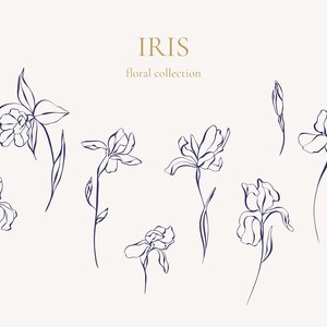 Iris Collection SVG - Floral Line Art - Minimalist Line Art - Etsy UK